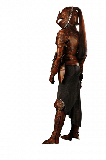 Gallery - Phoenix Armor - Custom Leather Armor - Prince Armory