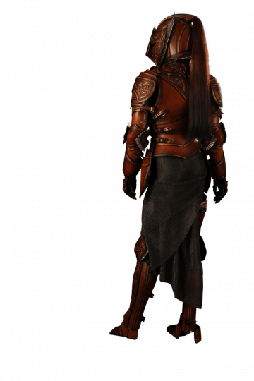 Gallery - Phoenix Armor - Custom Leather Armor - Prince Armory